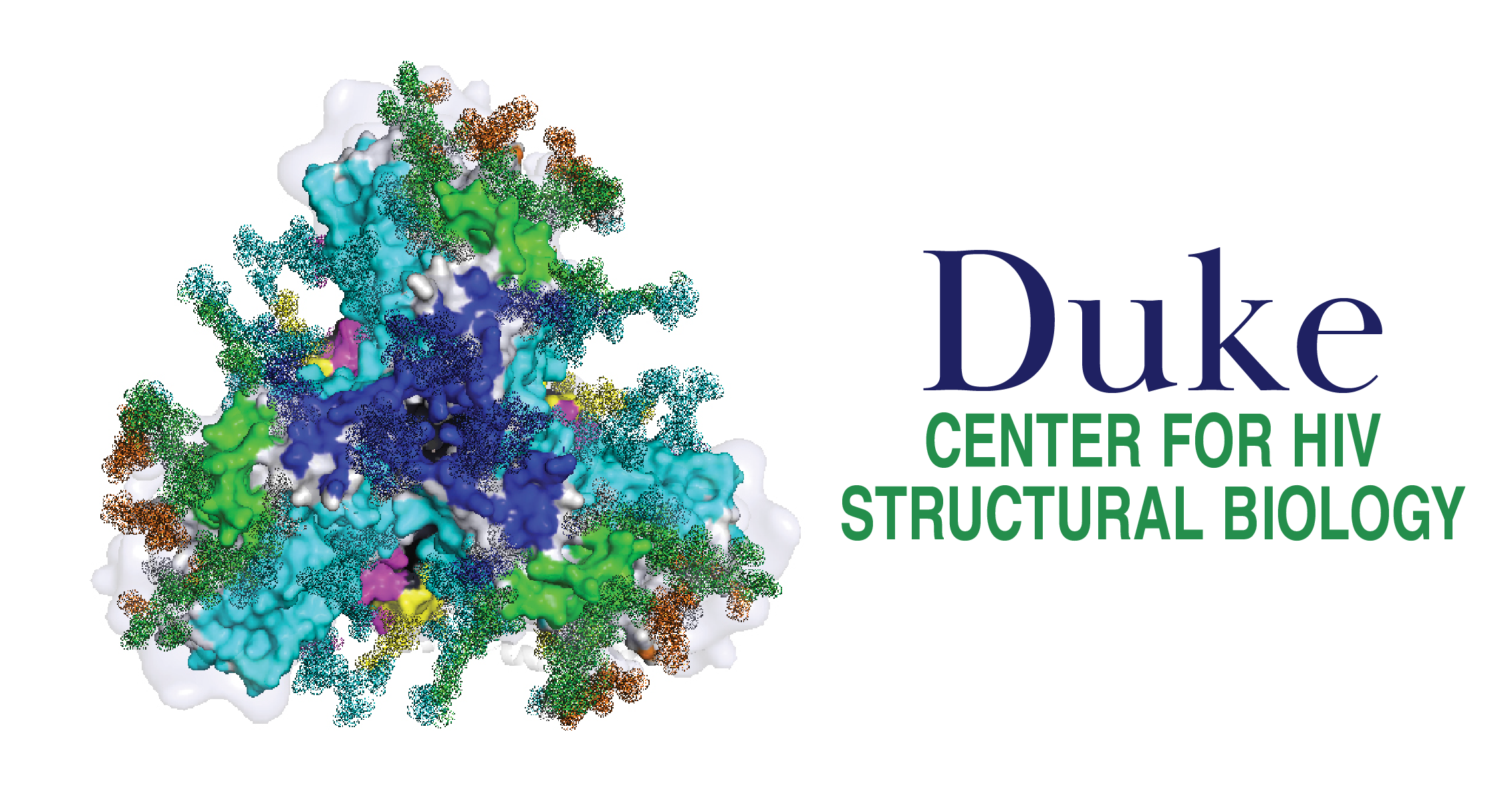 Duke Center for HIV Structural Biology | Duke Human Vaccine Institute