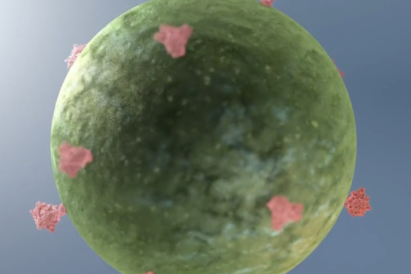 Duke Human Vaccine Institute