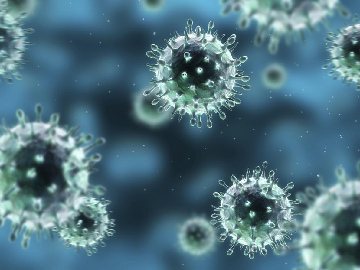 New Pan-Coronavirus Vaccine Passes Key Experiments, Demonstrates ...