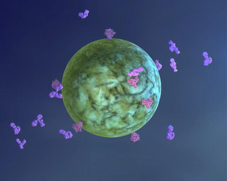 GPS-like System Shows Promise as HIV Vaccine Strategy to Elicit ...