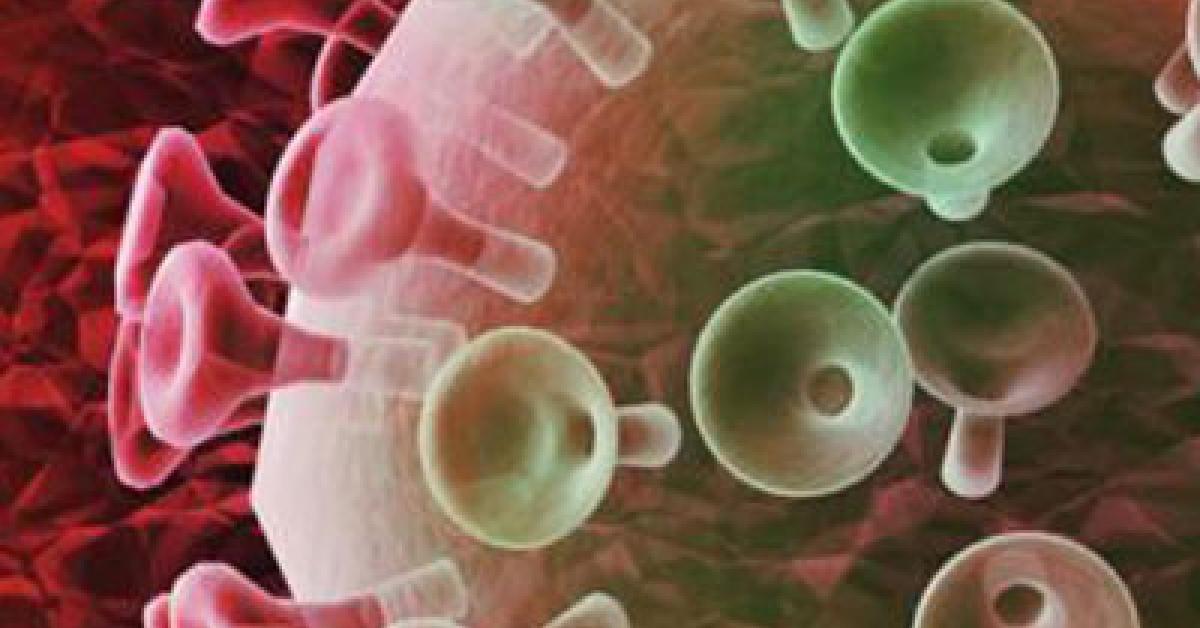 Closing in on an HIV vaccine using rare antibodies | Duke Human Vaccine ...